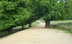 London Duathlon – UPDATED 2021 – Route, Distances & More!