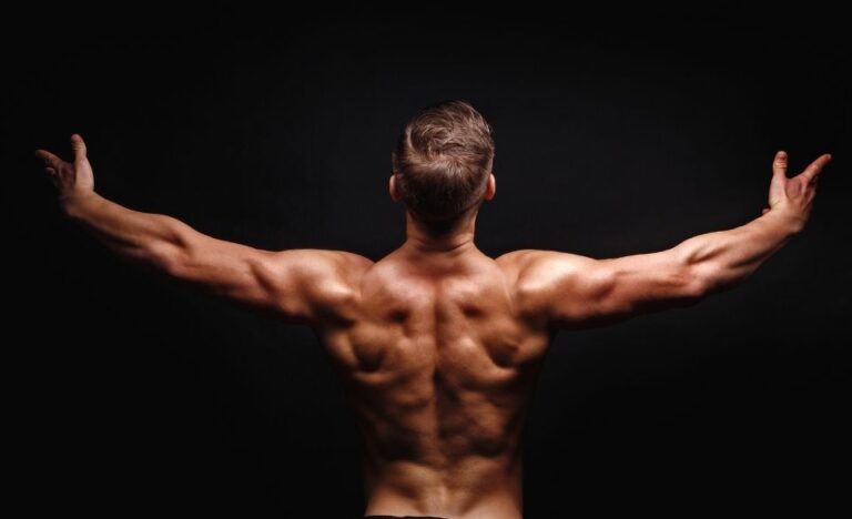 What is Muscle Maturity? UPDATED 2022 - A Complete Guide